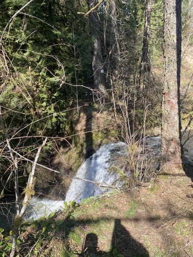 Best Hikes and Trails in Hidden Falls Nature Park | AllTrails