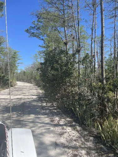 Best Hikes and Trails in J W Corbett Wildlife Management Area | AllTrails