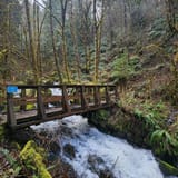 Amanda's Trail, Oregon - 156 Reviews, Map | AllTrails