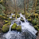 Amanda's Trail, Oregon - 156 Reviews, Map | AllTrails