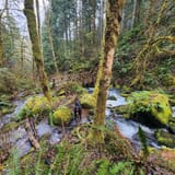Amanda's Trail, Oregon - 156 Reviews, Map | AllTrails