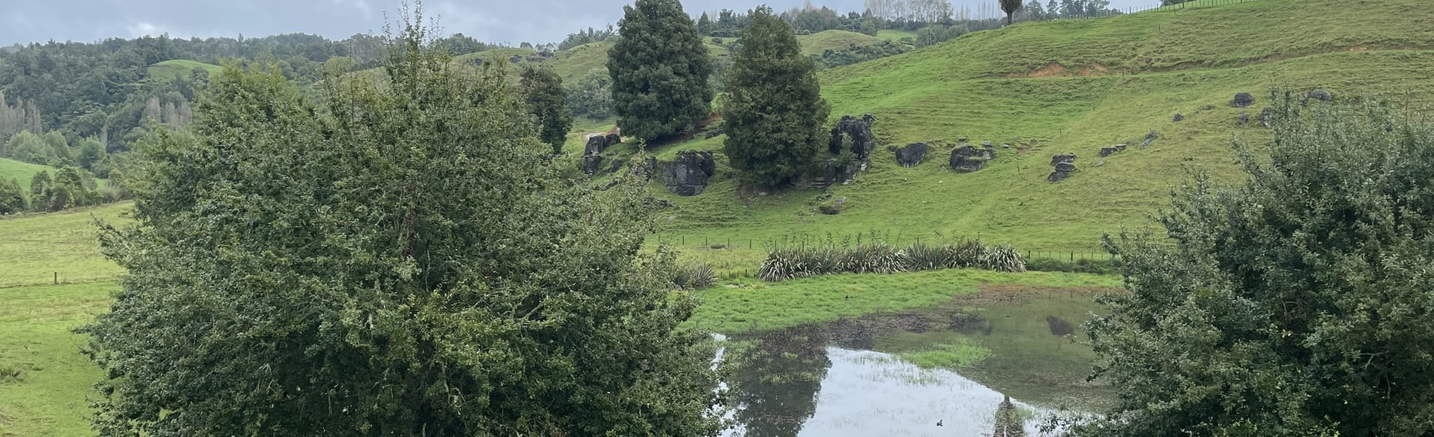 Waitomo Walkway: 42 Reviews, Map - Waikato, New Zealand | AllTrails