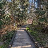 Ibach Park Loop, Oregon - 33 Reviews, Map | AllTrails