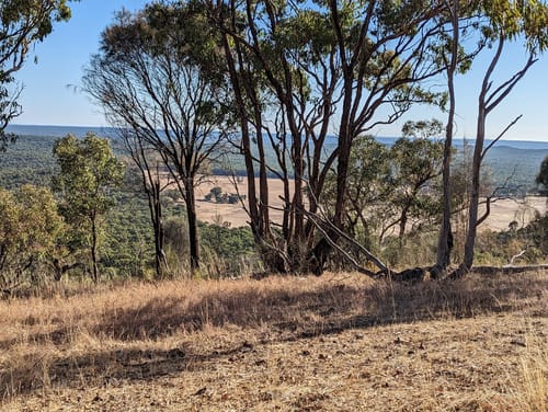 Best Hikes and Trails in Graytown | AllTrails