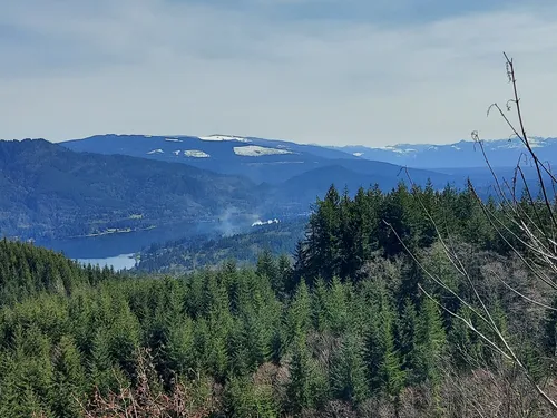 Best Hikes and Trails in Lake Samish Park | AllTrails