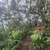 Mount Nuang via Janda Baik, Pahang, Malaysia - 104 Reviews, Map | AllTrails
