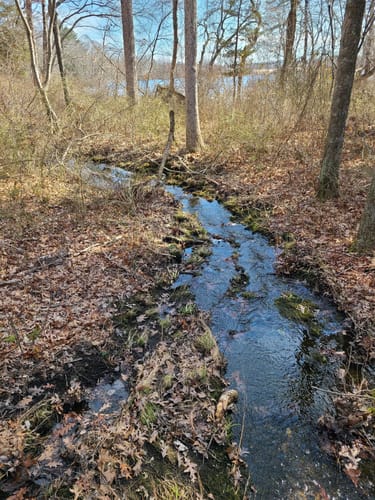 Best Hikes and Trails in Merrill S. Whipple Conservation Area | AllTrails