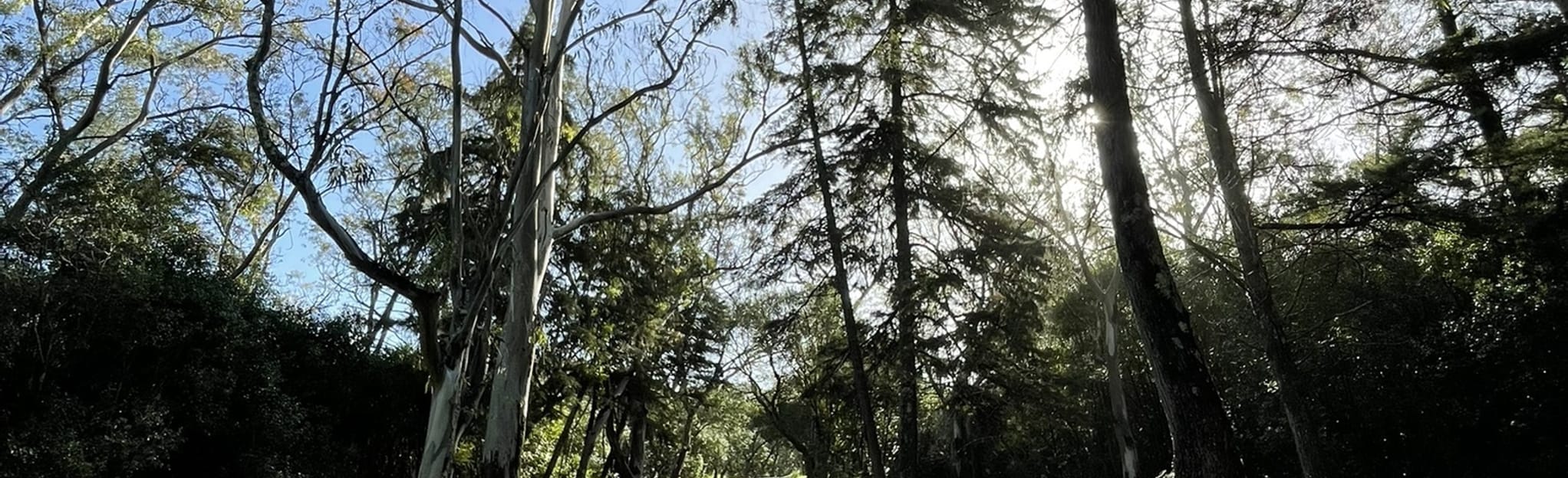 Route 3 BTT - Monsanto Forest Park: 3 Reviews, Map - Lisbon, Portugal ...