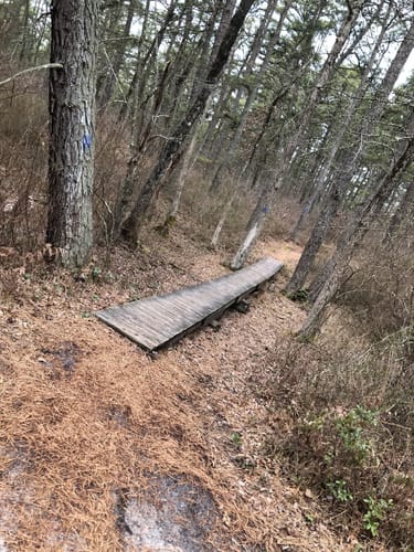 Best Hikes and Trails in Jakes Branch County Park | AllTrails