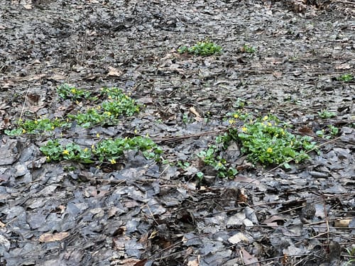 Best Hikes and Trails in Brukner Nature Center | AllTrails