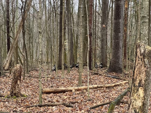 Best Hikes and Trails in Brukner Nature Center | AllTrails