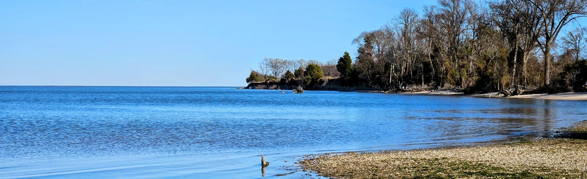 Potomac River Beach, Virginia - Map, Guide | AllTrails