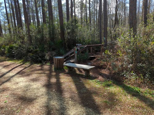 2023 Best Mountain Biking Trails in Cary State Forest | AllTrails