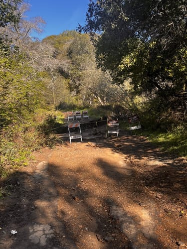 Best Hikes and Trails in Leona Canyon Open Space Regional Preserve ...