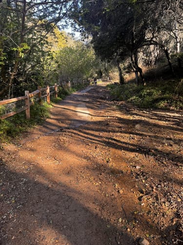 Best Hikes and Trails in Leona Canyon Open Space Regional Preserve ...