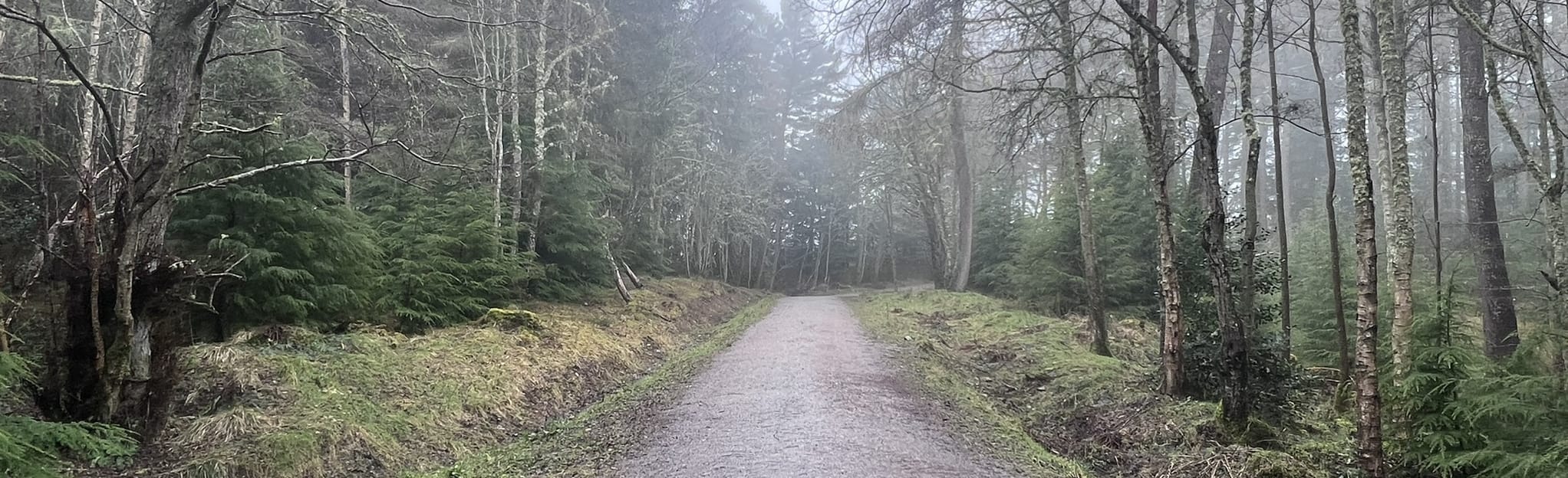 Craig Phadrig Trail: 36 Fotos - Highlands, Schottland | AllTrails