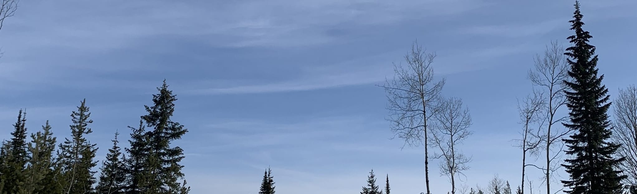 Caribou to Moose Loop, British Columbia, Canada - 28 Reviews, Map ...