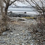 Timber Point, Maine - 302 Reviews, Map | AllTrails