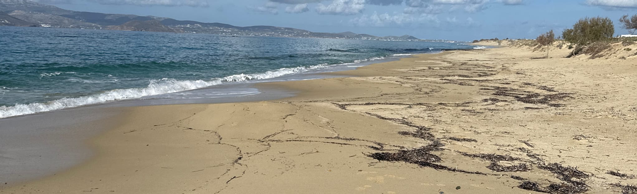 Naxos West Coasts: Plaka, Agia Anna, Agios Prokopios: 8 Reviews, Map ...