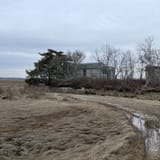 Sandy Neck Nature Trail, Massachusetts - 575 Reviews, Map | AllTrails