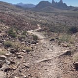 Mule Ear Spring, Texas - 399 Reviews, Map | AllTrails