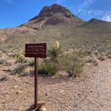 Mule Ear Spring, Texas - 399 Reviews, Map | AllTrails