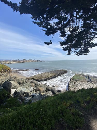 Best Hikes and Trails in Lighthouse Field State Beach | AllTrails