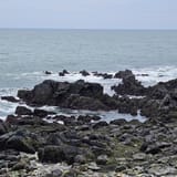 Parson's Way, Maine - 348 Reviews, Map | AllTrails