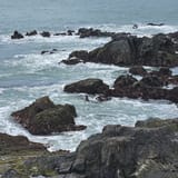 Parson's Way, Maine - 348 Reviews, Map | AllTrails