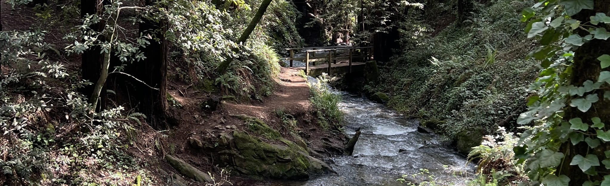 Cascade Falls Trail: 201 Reviews, Map - California | AllTrails