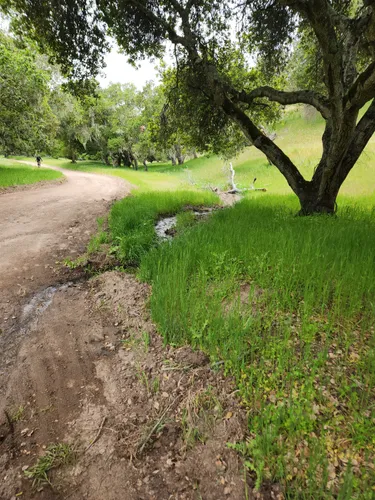 Best 10 Hikes and Trails in Toro Regional Park | AllTrails