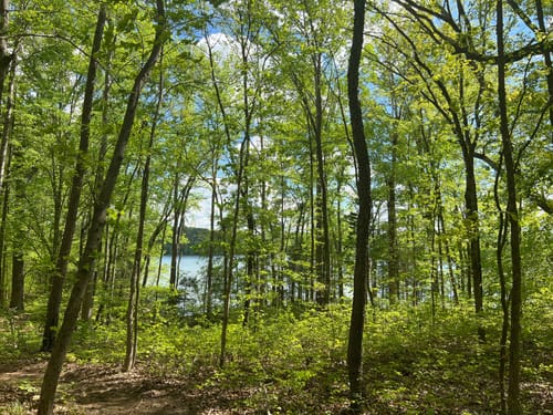 2023 Best Trail Running Trails in Latta Nature Preserve | AllTrails