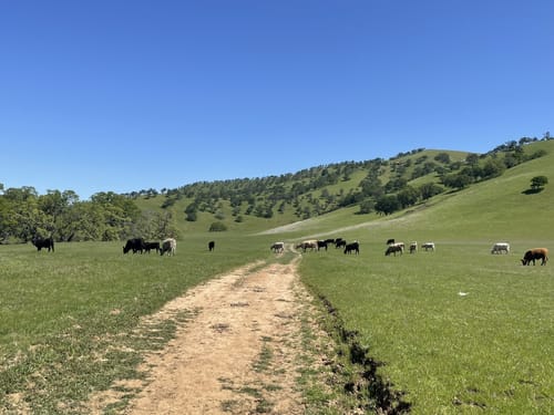 2023 Best trails in Round Valley Regional Preserve | AllTrails