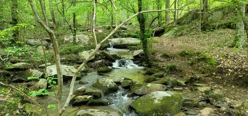 Best Hikes and Trails in Charlie Elliott Wildlife Center | AllTrails