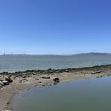Albany Bulb, California - 363 Reviews, Map | AllTrails