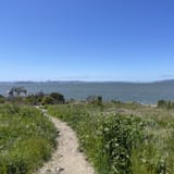 Albany Bulb, California - 393 Reviews, Map | AllTrails