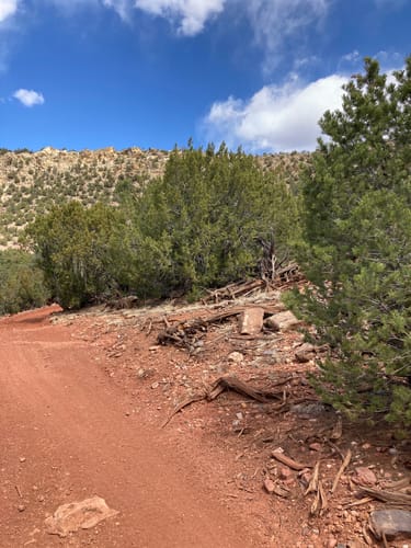 Best Hikes and Trails in Red Canyon Park | AllTrails