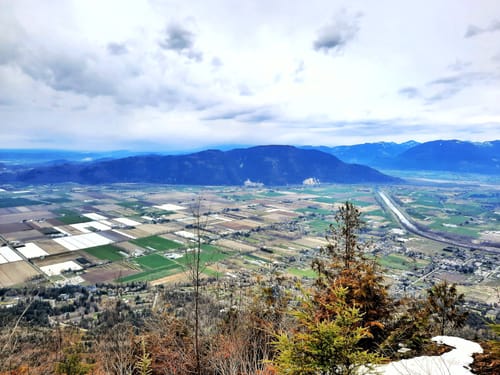 Best Hikes and Trails in Vedder Mountain Interpretive Forest | AllTrails