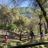 Monroe Ridge Trail and the Monument Trail, California - 732 Reviews ...