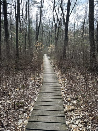 Best Hikes and Trails in Mansfield | AllTrails