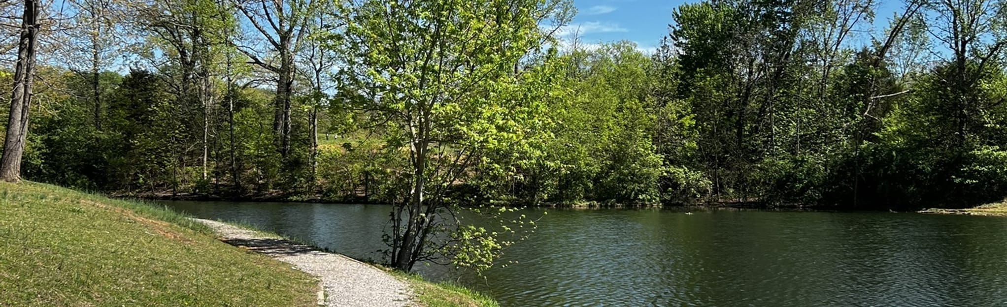 Victor Ashe Park Loop: 414 Reviews, Map - Tennessee | AllTrails