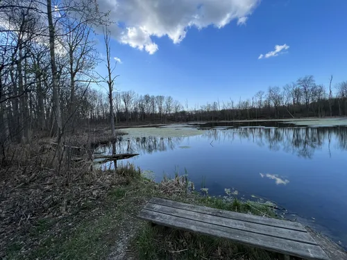 Best Hikes and Trails in Seneca Ponds Park | AllTrails