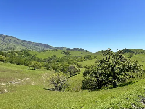 10 Best Hikes and Trails in Shell Ridge Open Space | AllTrails