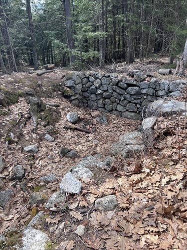 Best Hikes and Trails in Hamlin Conservation Area | AllTrails