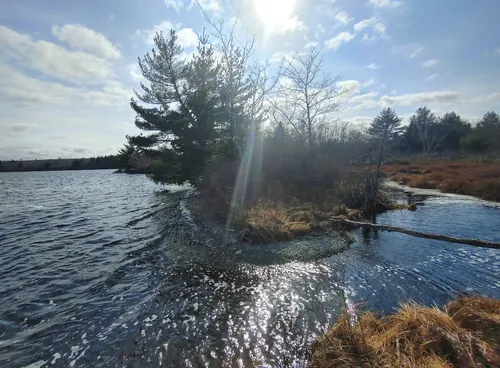 Best Hikes and Trails in Sable River | AllTrails