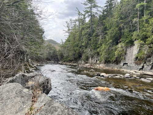 Best Hikes and Trails in Chesterfield Gorge Reservation | AllTrails