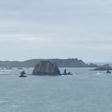 Blacklock Point Trail, Oregon - 339 Reviews, Map | AllTrails