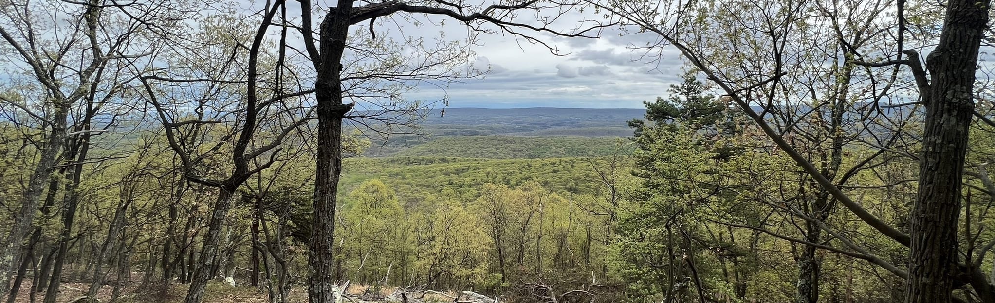 Ziler Loop Trail: 82 Reviews, Map - West Virginia | AllTrails