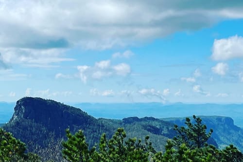 2023 Best Short Trails in Jonas Ridge | AllTrails