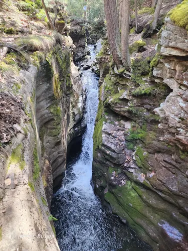 Best Hikes and Trails in Seven Tubs Recreation Area | AllTrails